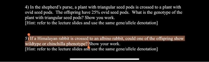 Solved 4 Ln The Shepherds Purse A Plant With Triangular Seed Pods Is Crossed To A Plant With