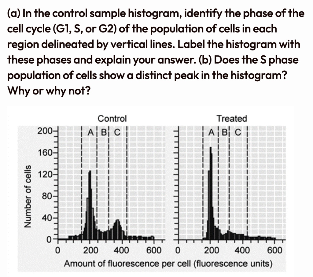 a in the control sample histogram identify the phase of the cell cycle ...