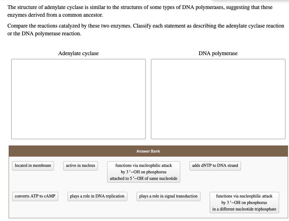 the structure of adenylate cyclase is similar to the structures of some ...