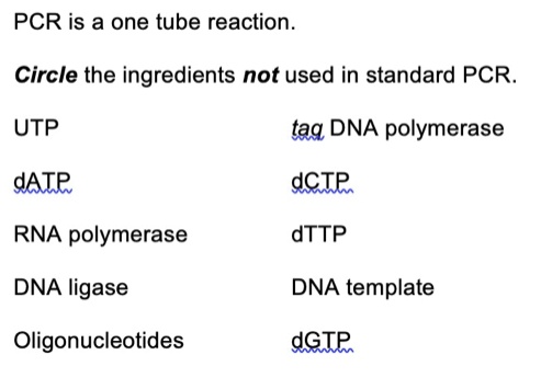 SOLVED: PCR is a one tube reaction. Circle the ingredients not used in ...