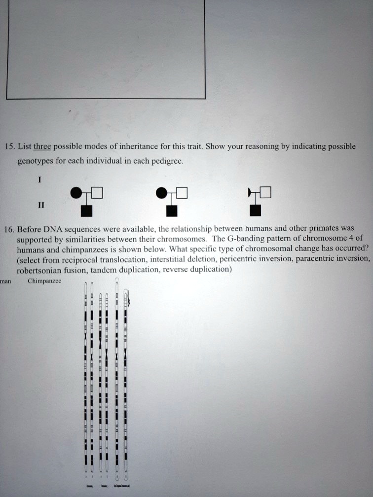 15 List Three Possible Modes Of Inheritance For This Trait Show Your Reasoning By Indicating
