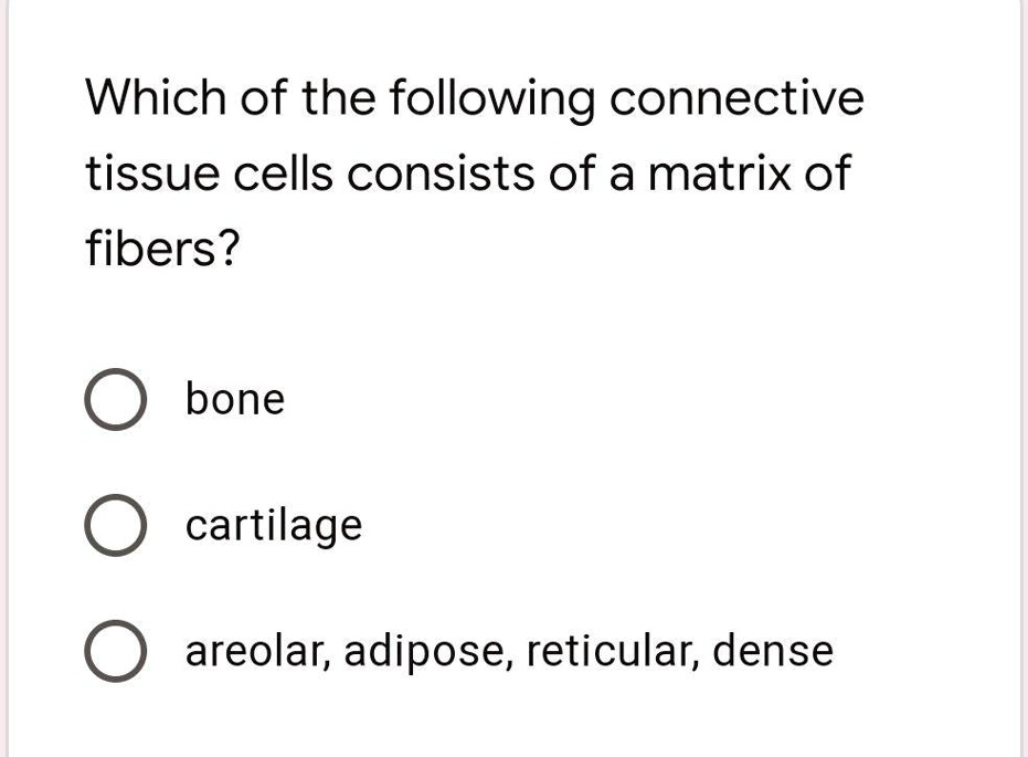 SOLVED: Which of the following connective tissue cells consists of a matrix of fibers? bone ...