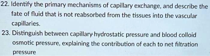 22. Identify the primary mechanisms of capillary exchange, and describe ...