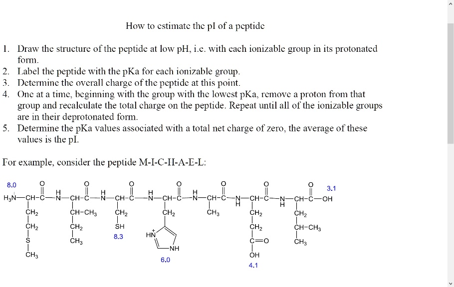 How to estimate the pl of a peptide 1. Draw the structure of...