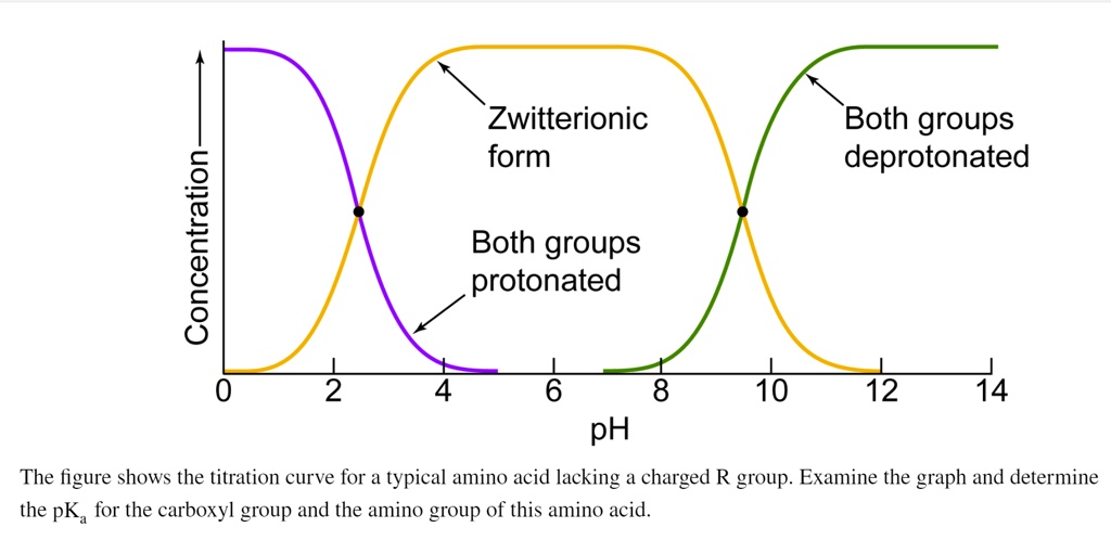 zwitterionic form both groups deprotonated 1 both groups protonated 10 ...