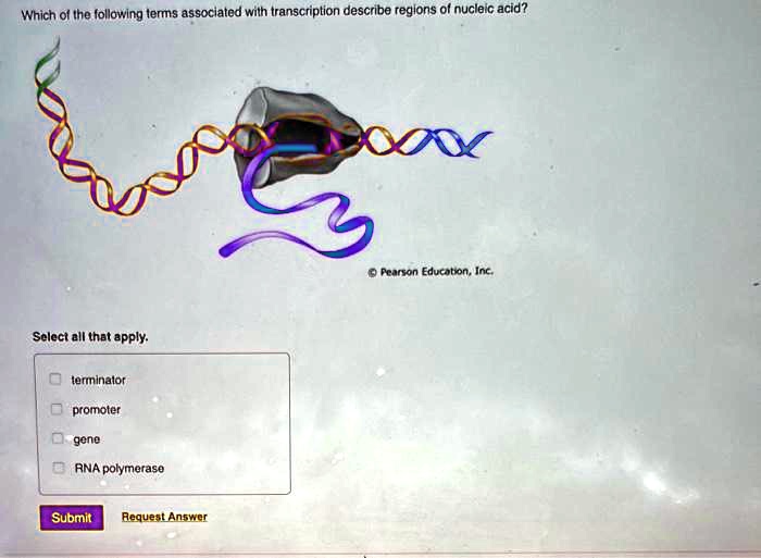 SOLVED: Which of the following terms associated with transcription ...