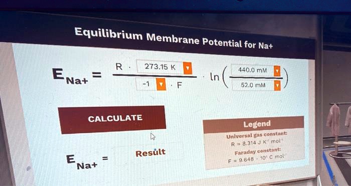 [GET ANSWER] Equilibrium Membrane Potential for Na+ ENa+ = (R ·273.15 K ...
