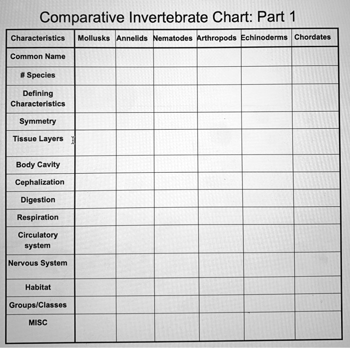 comparative invertebrate chart part characteristics mollusks annelids ...