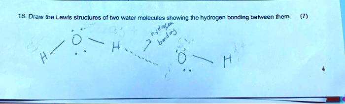 SOLVED: Draw the Lewis structures of two water molecules showing the ...