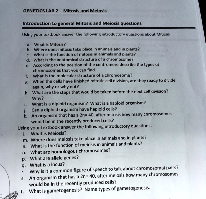SOLVED: GENETICS LAB 2 - Mitosis and Meiosis Introduction to general ...