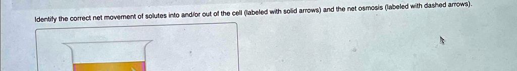 SOLVED: Identify the correct net movement of solutes into and/or out of ...