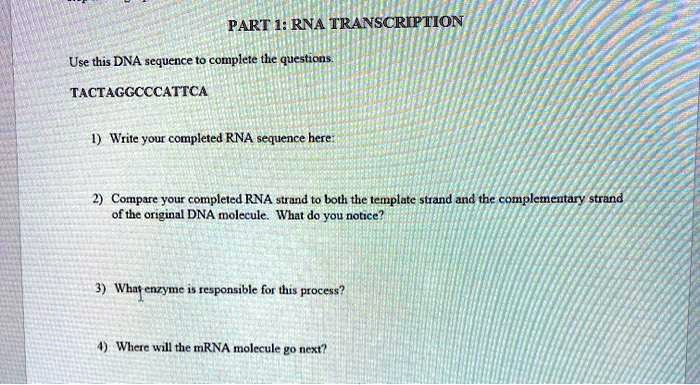 part 1 rna transcription use this dna sequence to complete the ...