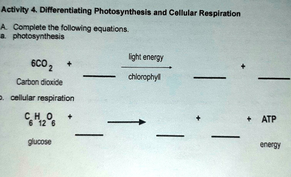 Activity 4. Differentiating Photosynthesis and Cellular Respiration A ...