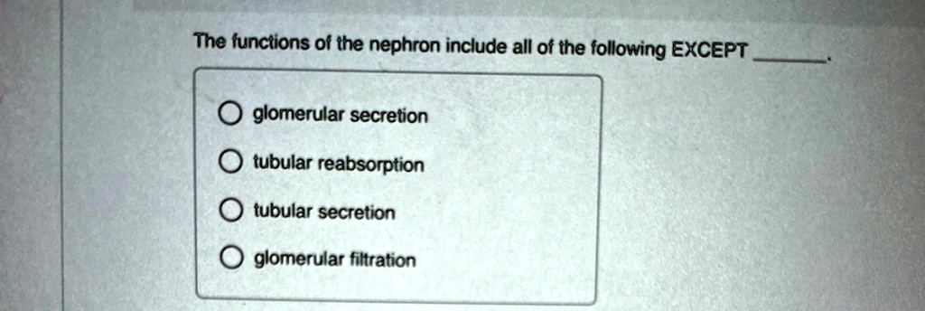 the functions of the nephron include all of the following except oglomerular secretion tubular ...