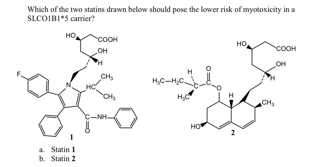 SOLVED: Which of the two statins drawn below should pose the lower risk ...