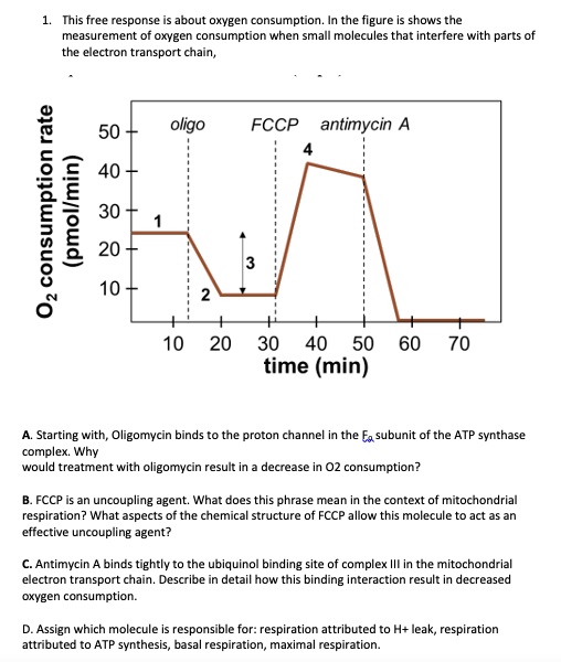 1. This free response is about oxygen consumption. In the figure is ...