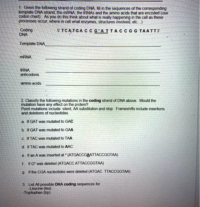 given the lollowing strand of coding dna fill in the sequences of the ...