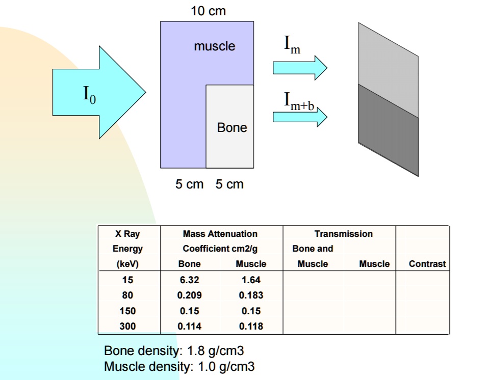 SOLVED: A beam of monoenergetic x-rays is incident on a slab with a ...