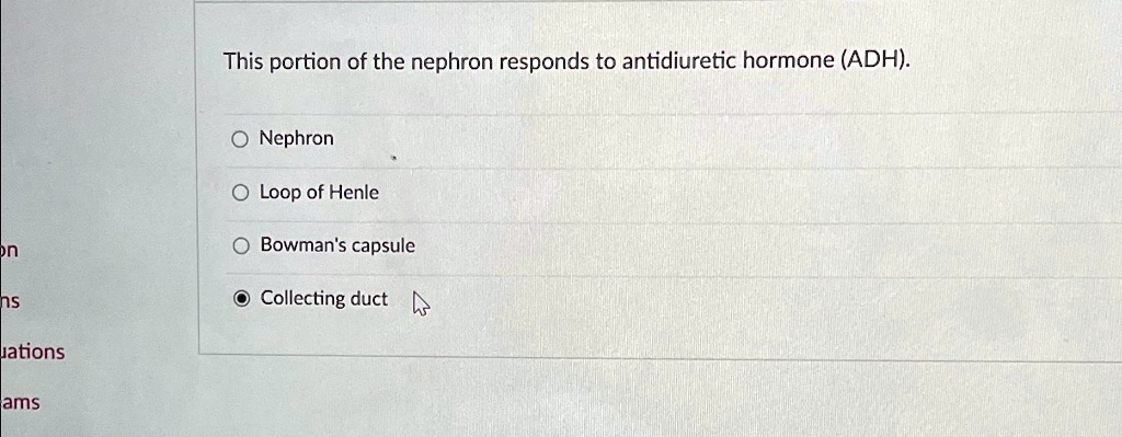 This portion of the nephron responds to antidiuretic hormone (ADH ...