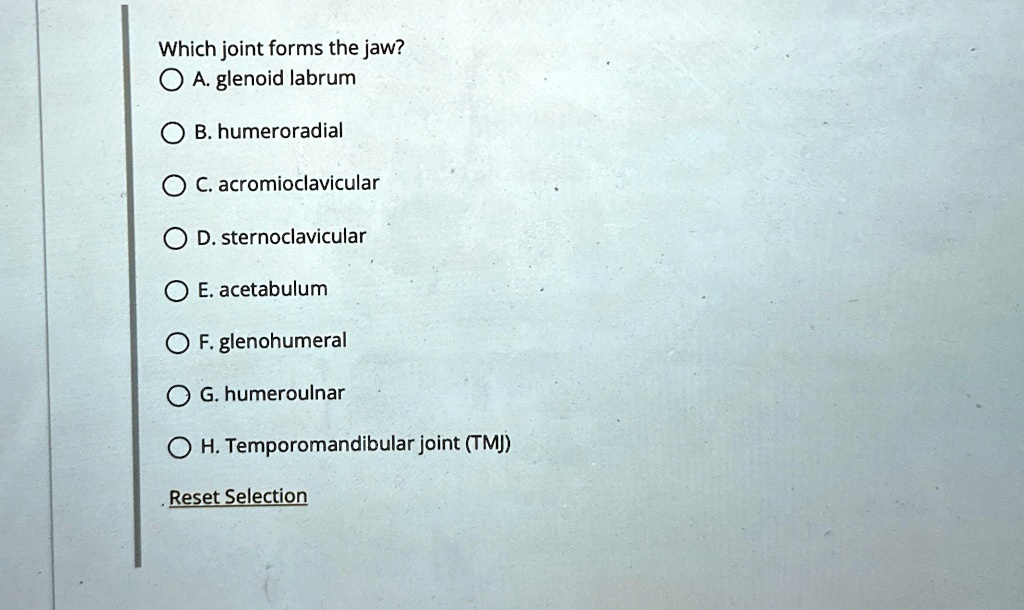 which joint forms the jaw a glenoid labrum b humeroradial c ...