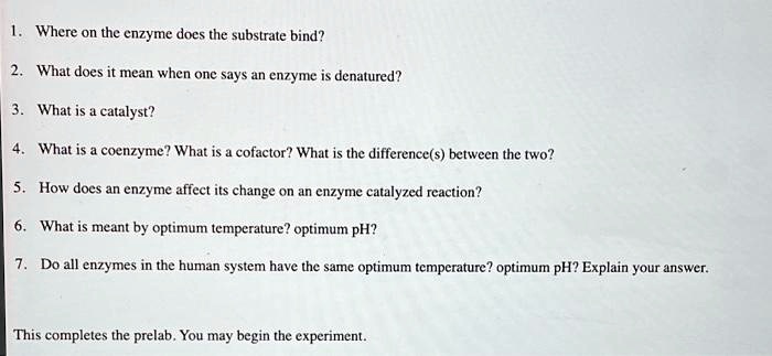 Solved Where On The Enzyme Does The Substrate Bind What Does It Mean 0558