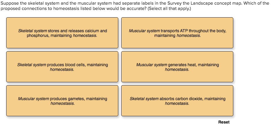 Suppose the skeletal system and the muscular system had separate labels ...
