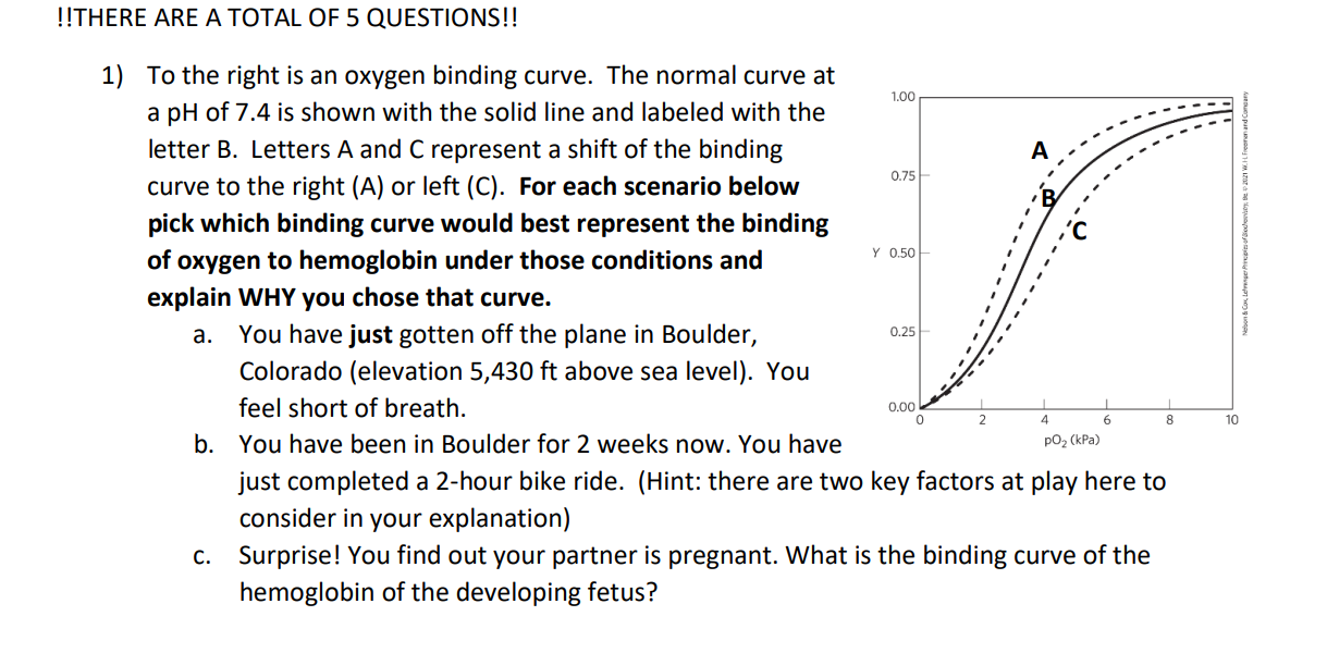 there are a total of 5 questions 1 to the right is an oxygen binding ...