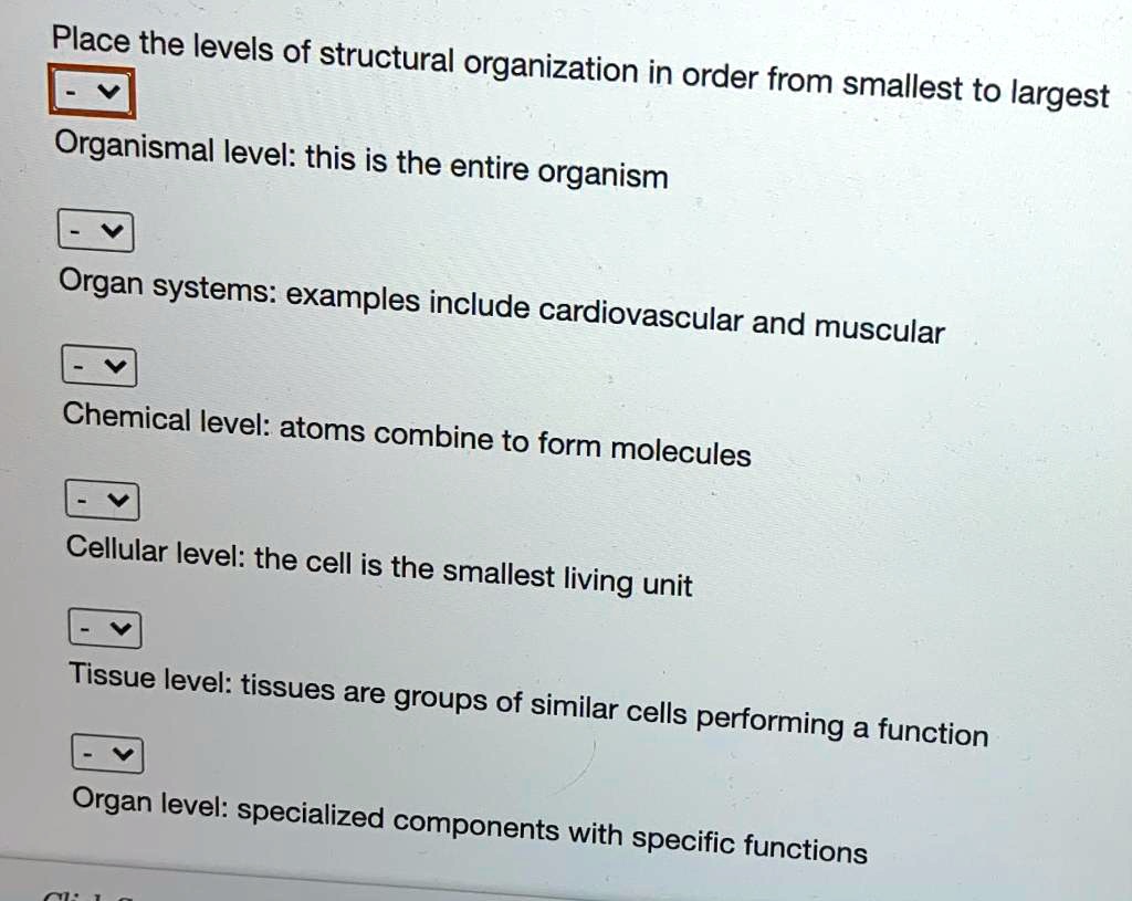 SOLVED: Place the levels of structural organization in order from smallest to largest Organismal ...