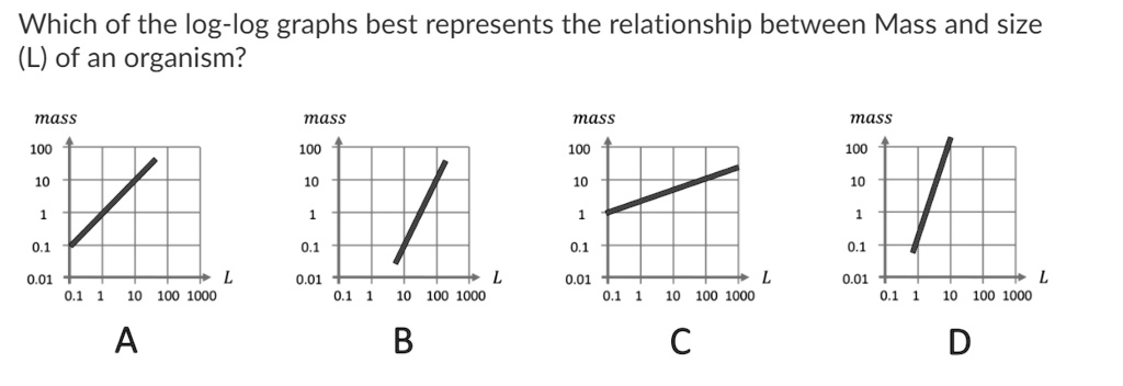 SOLVED: 'Which of the log-log graphs best represents the relationship ...