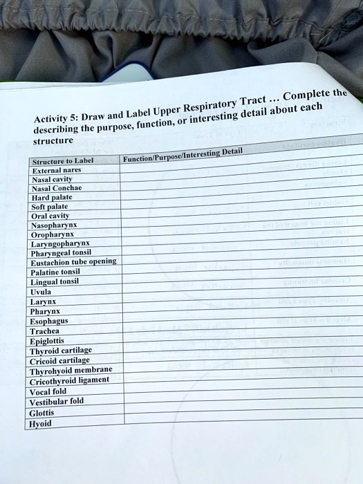SOLVED: Text Structure: Function/Purpose/Interesting Detail Structure ...