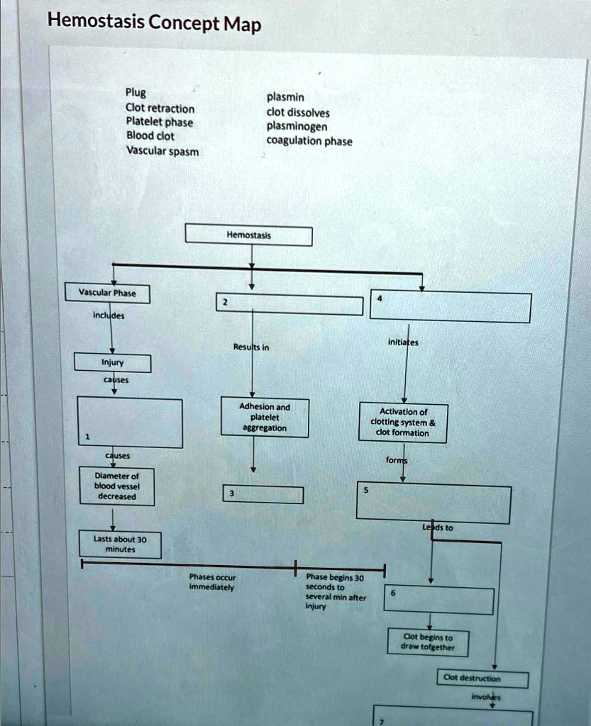 Hemostasis Concept Map Plug Clot retraction Platelet phase Blood clot ...