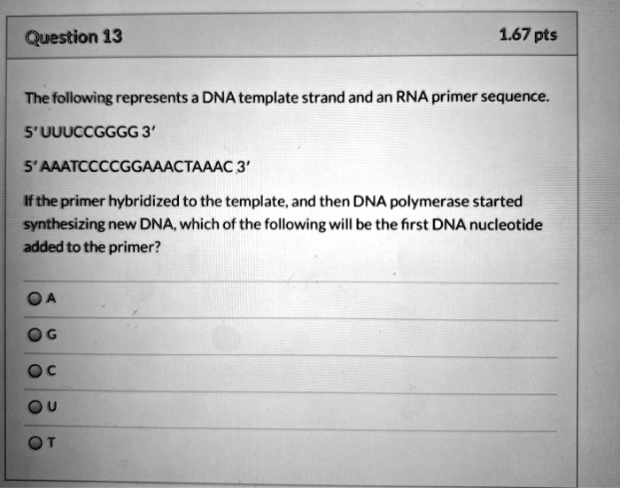 question 13 167 pts the following represents a dna template strand and an rna primer sequence 5 ...