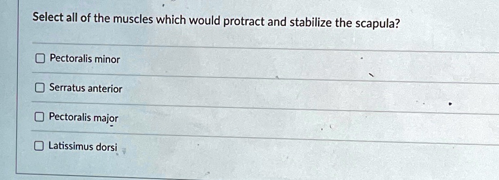 Select all of the muscles which would protract and stabilize the ...