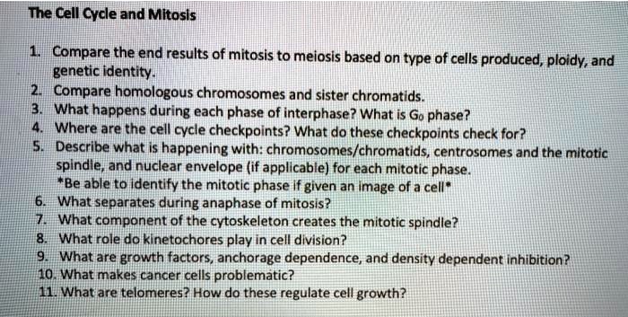 SOLVED: Uhe Cell Cycle and Mitosis Compare the end results of mitosis ...