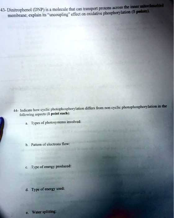 SOLVED: 43-Dinitrophenol (DNP) is a molecule that can transpor Protons ...