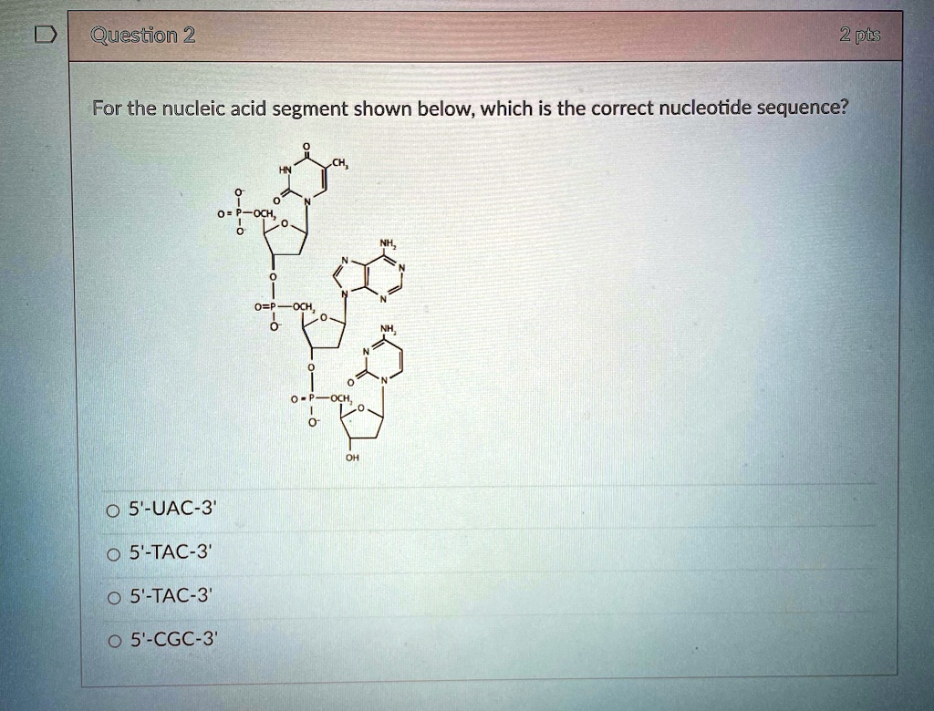 question 2 2 pts for the nucleic acid segment shown below which is the ... question 2 2 pts for the nucleic acid segment shown below which is the ...