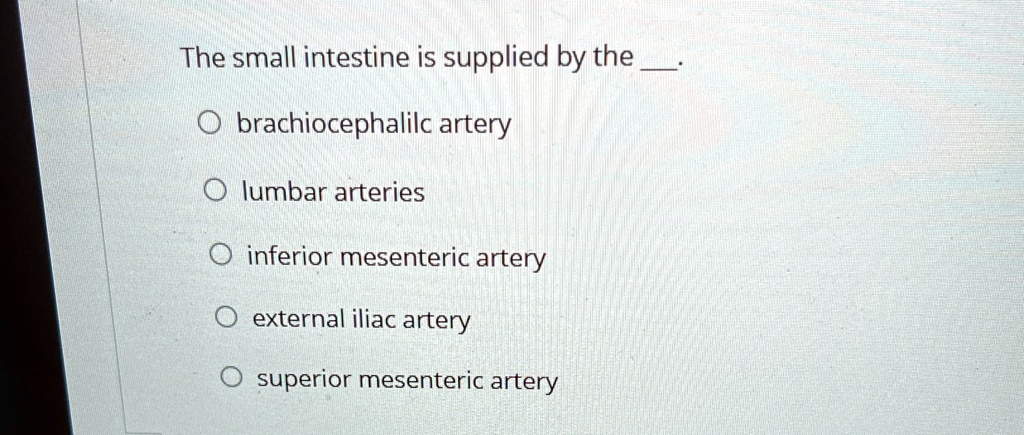 the small intestine is supplied by the obrachiocephalilc artery olumbar ...