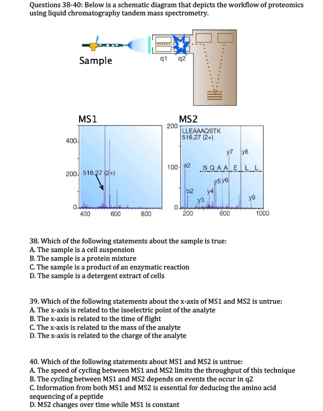SOLVED: Questions 38-40: Below is a schematic diagram that depicts the workflow of proteomics ...