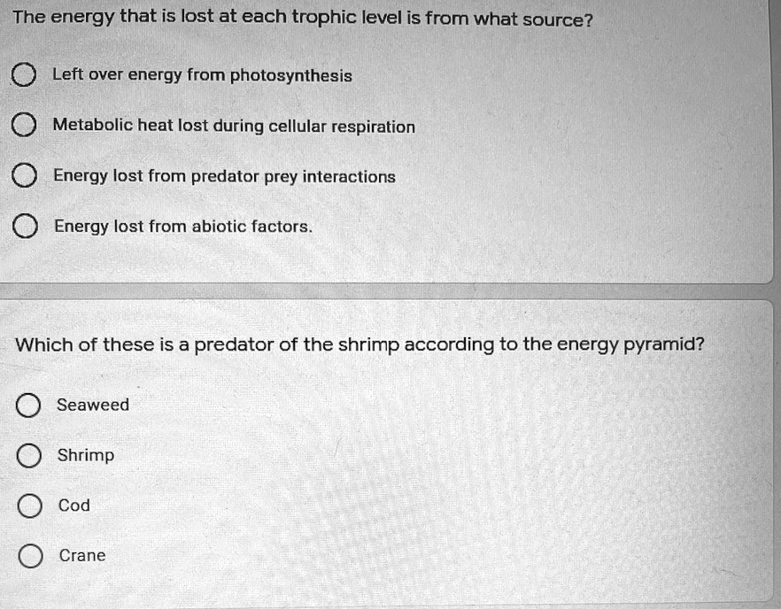 the energy that is lost at each trophic level is from what source left ...