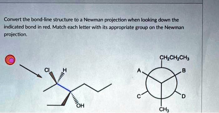 SOLVED: Convert the bond-line structure to a Newman projection when ...