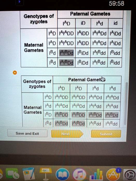 SOLVED: 59.58 Genotypes of Paternal Gametes zygotes IAD iD IAd IAp ...