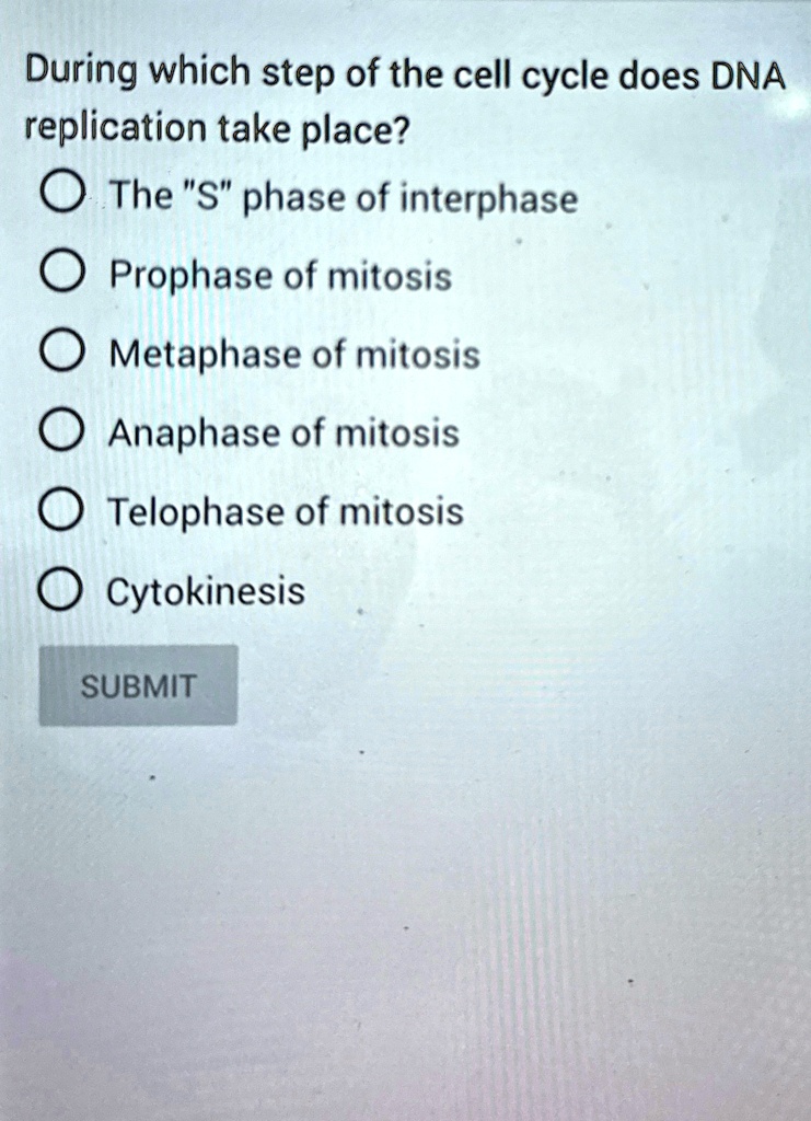 During which step of the cell cycle does DNA replication take place ...