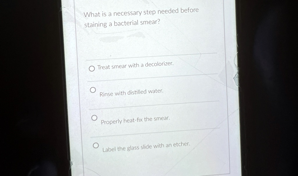 What is a necessary step needed before staining a bacterial smear ...