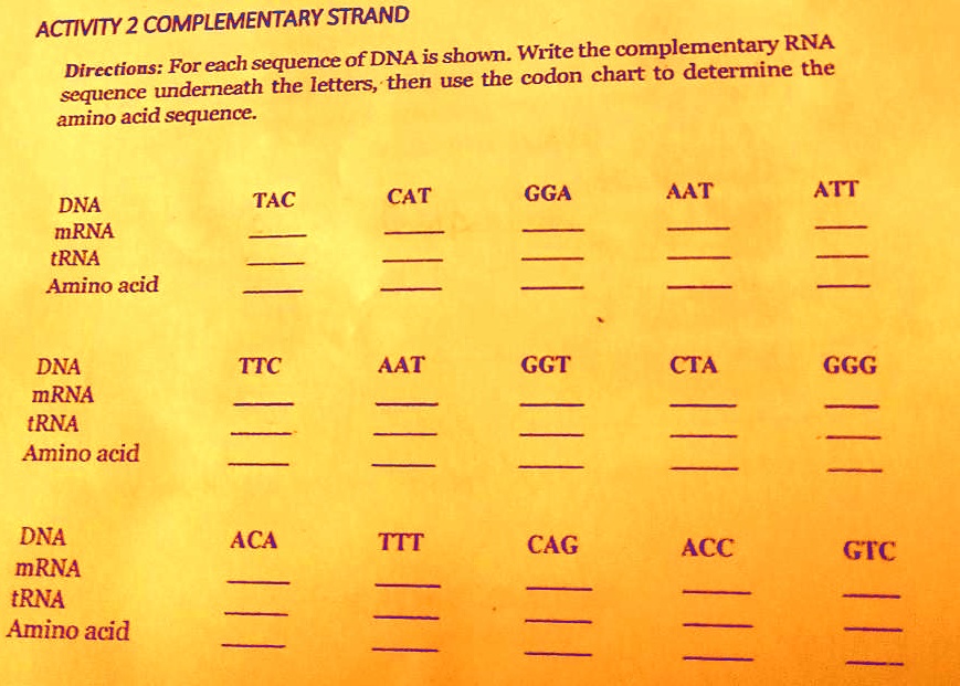 ACTIVITY 2 COMPLEMENTARY STRAND Directions: For each sequence of DNA is shown. Write the ...
