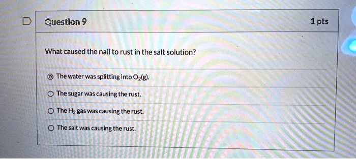 SOLVED: Question 9 1pts What caused the nail to rust in the salt ...
