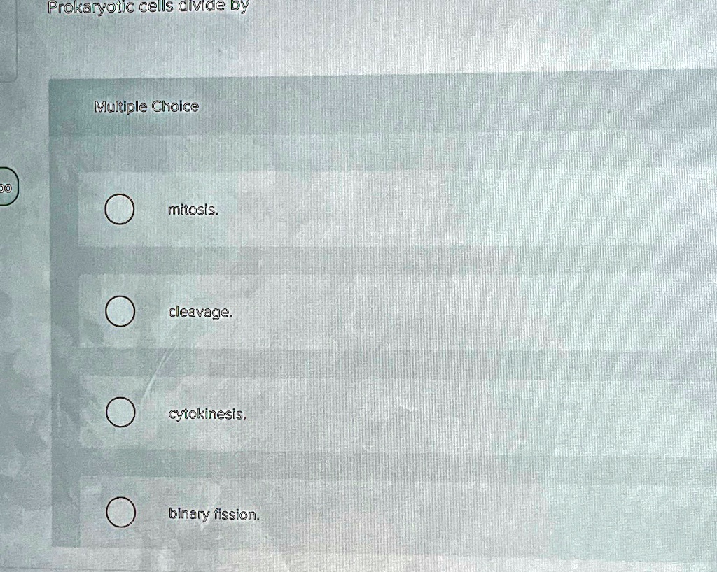 Prokaryotic cells divide by Multiple Choice mitosis. cleavage ...