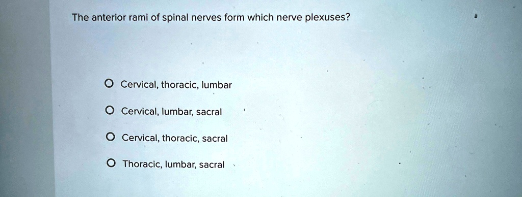 The anterior rami of spinal nerves form which nerve plexuses? O ...