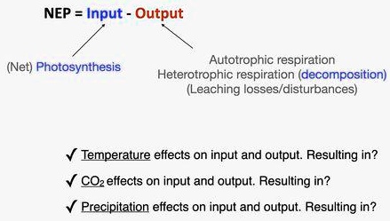 nep input output autotrophic respiration net photosynthesis ...