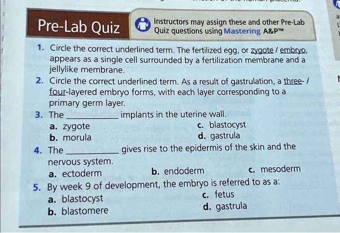 SOLVED: Instructors may assign these and other Pre-Lab Quiz questions ...