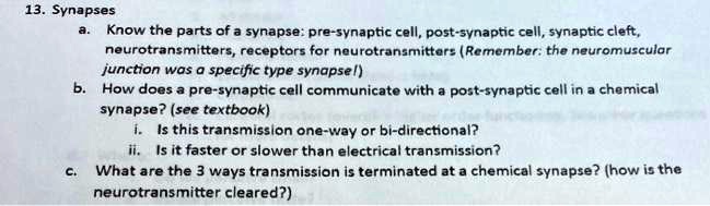 SOLVED: Synapses a. Know the parts of a synapse: pre-synaptic cell, post-synaptic cell, synaptic ...